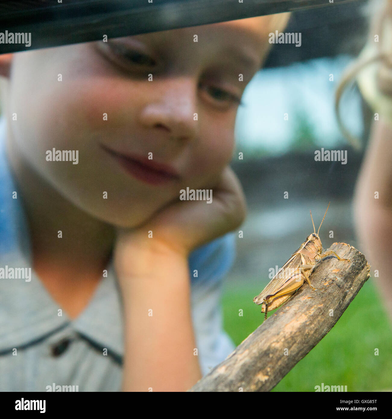 Girl and grasshopper hi-res stock photography and images - Alamy