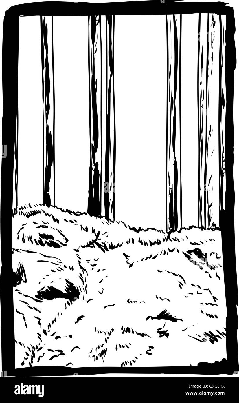 Outlined sketch of tall forest trees in background of trail Stock Photo ...