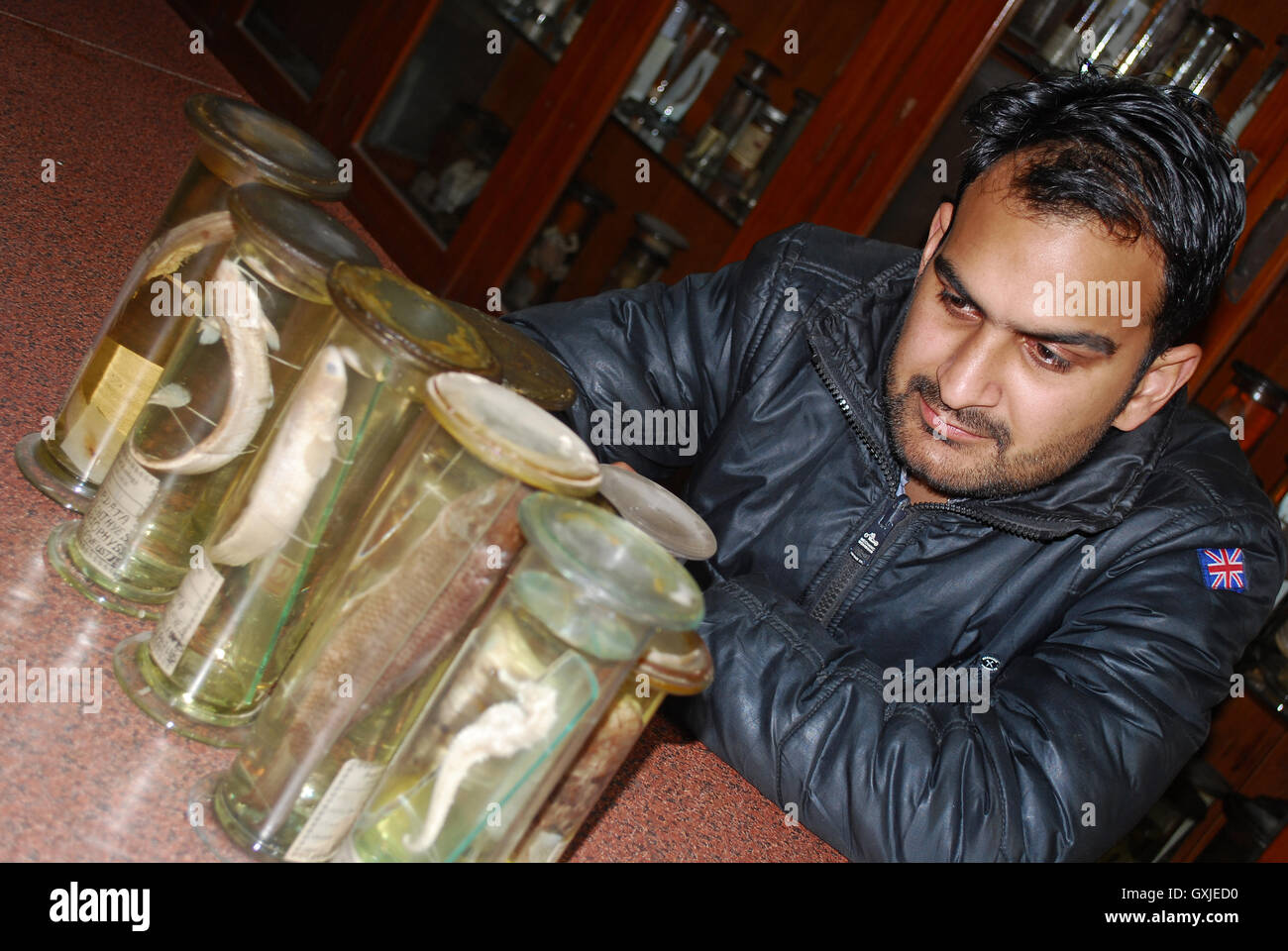 Student study in zoology hi-res stock photography and images - Alamy