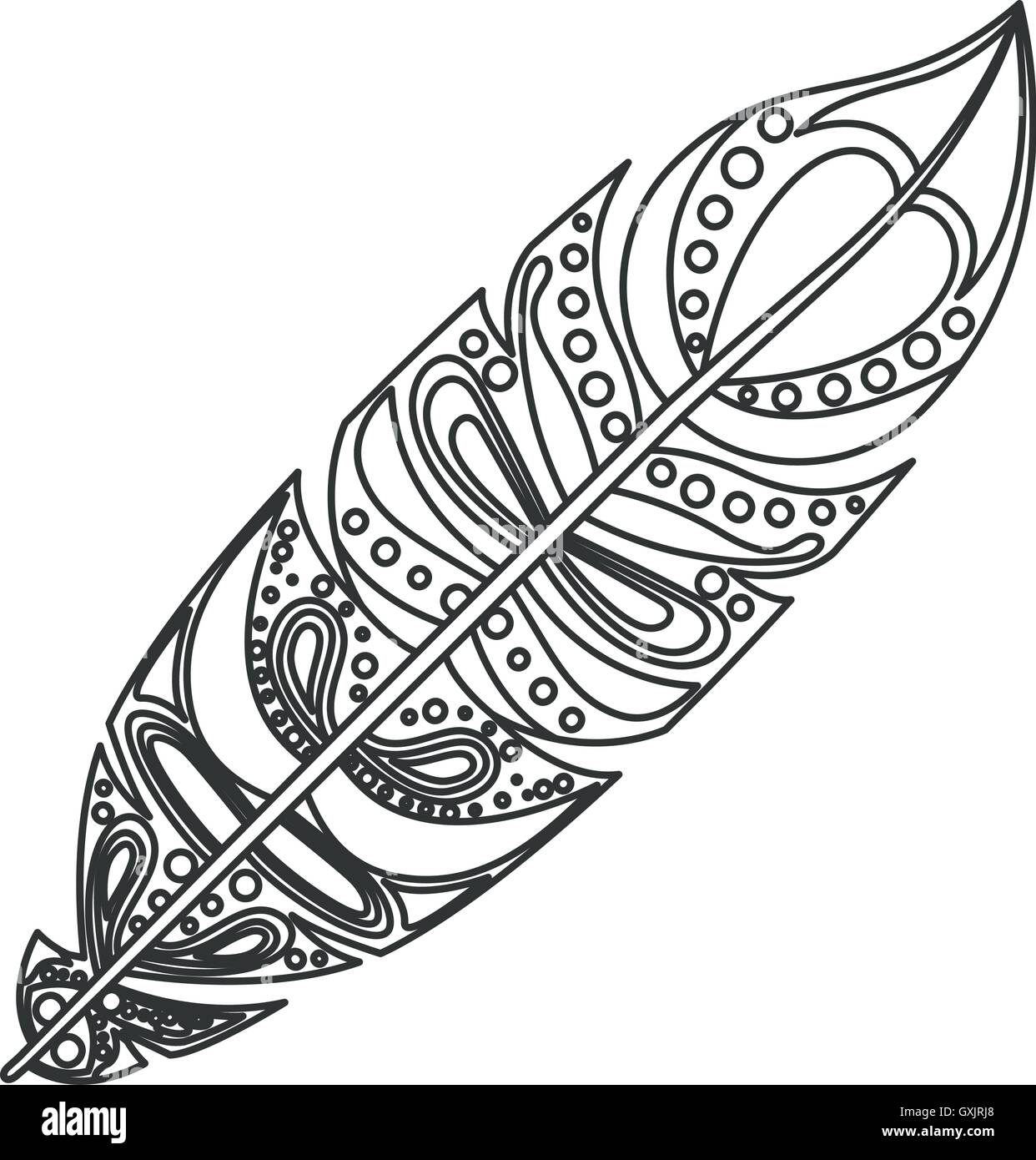 Isolated feather plume design Stock Vector Image & Art - Alamy