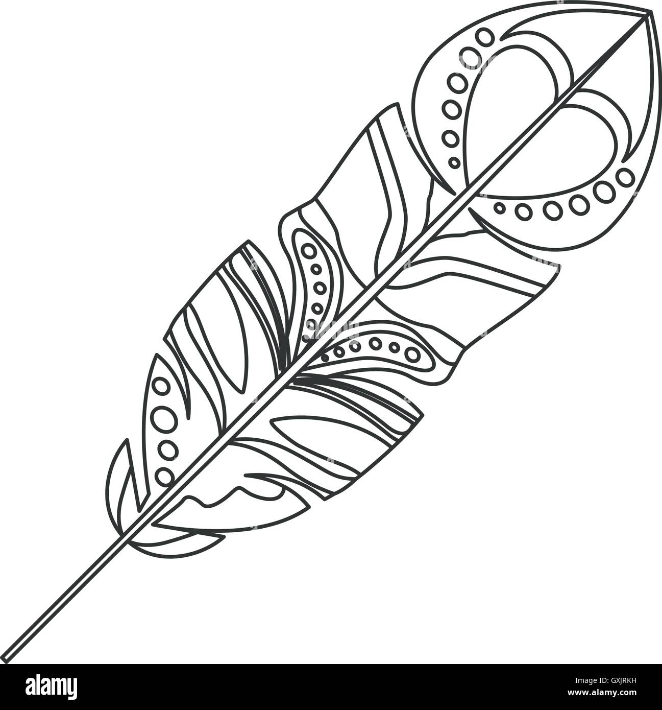 Isolated feather plume design Stock Vector Image & Art - Alamy