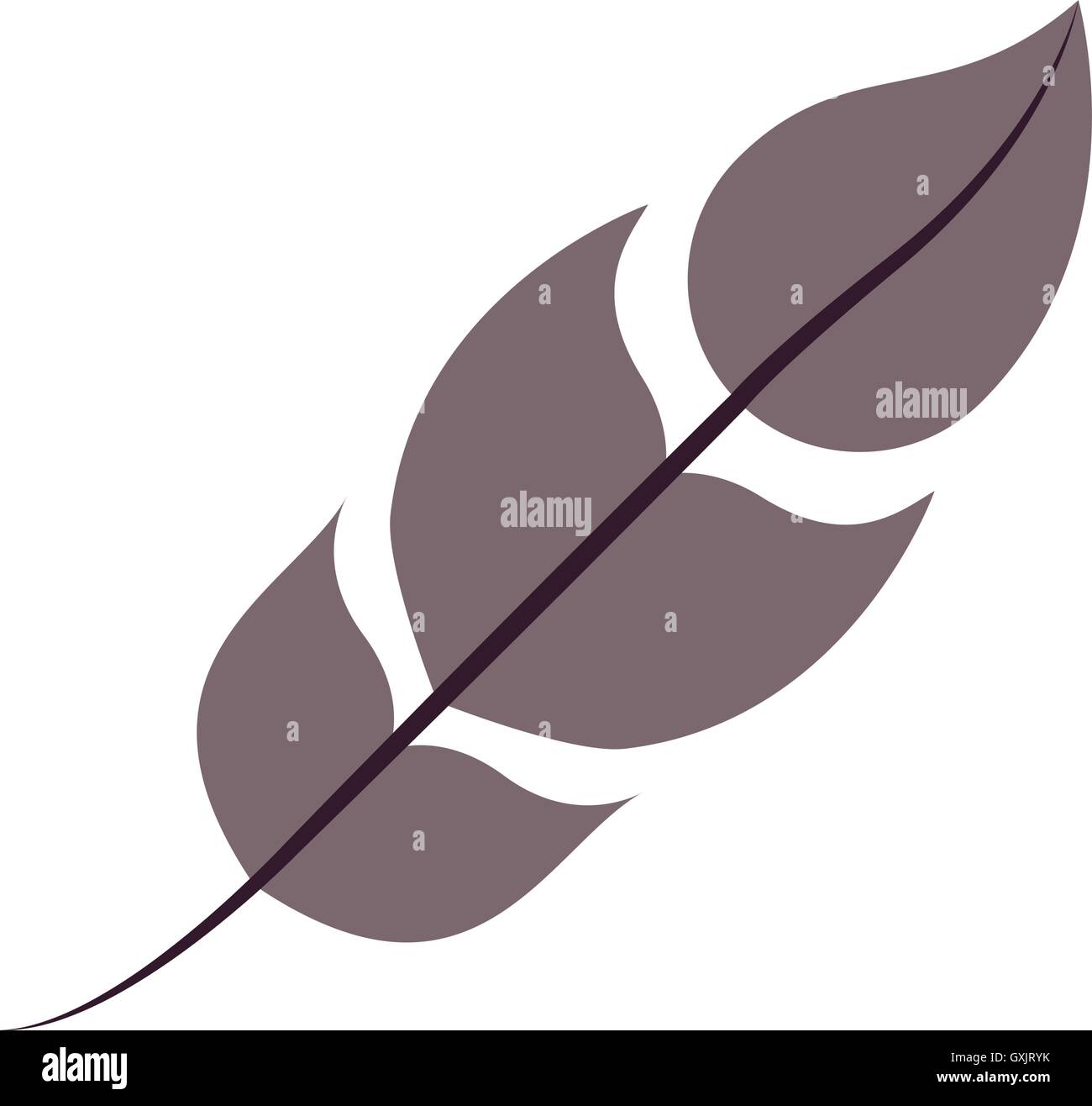 Isolated feather plume design Stock Vector Image & Art - Alamy