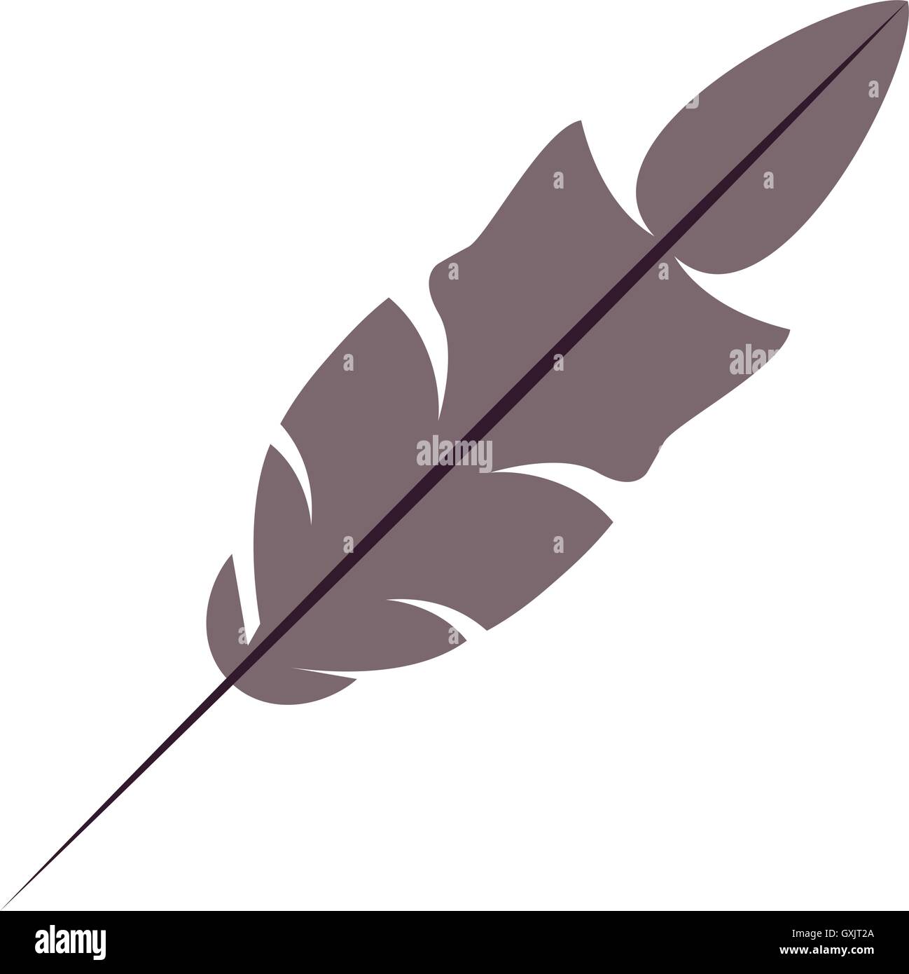 Isolated feather plume design Stock Vector Image & Art - Alamy