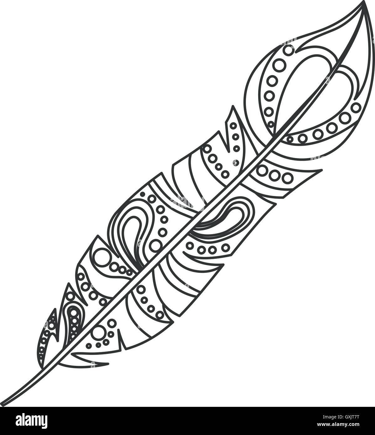 Isolated feather plume design Stock Vector Image & Art - Alamy