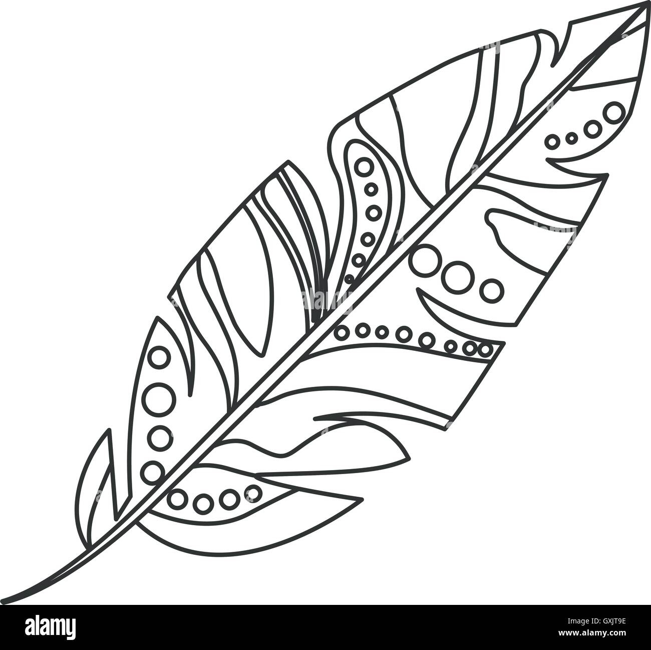 Isolated feather plume design Stock Vector Image & Art - Alamy
