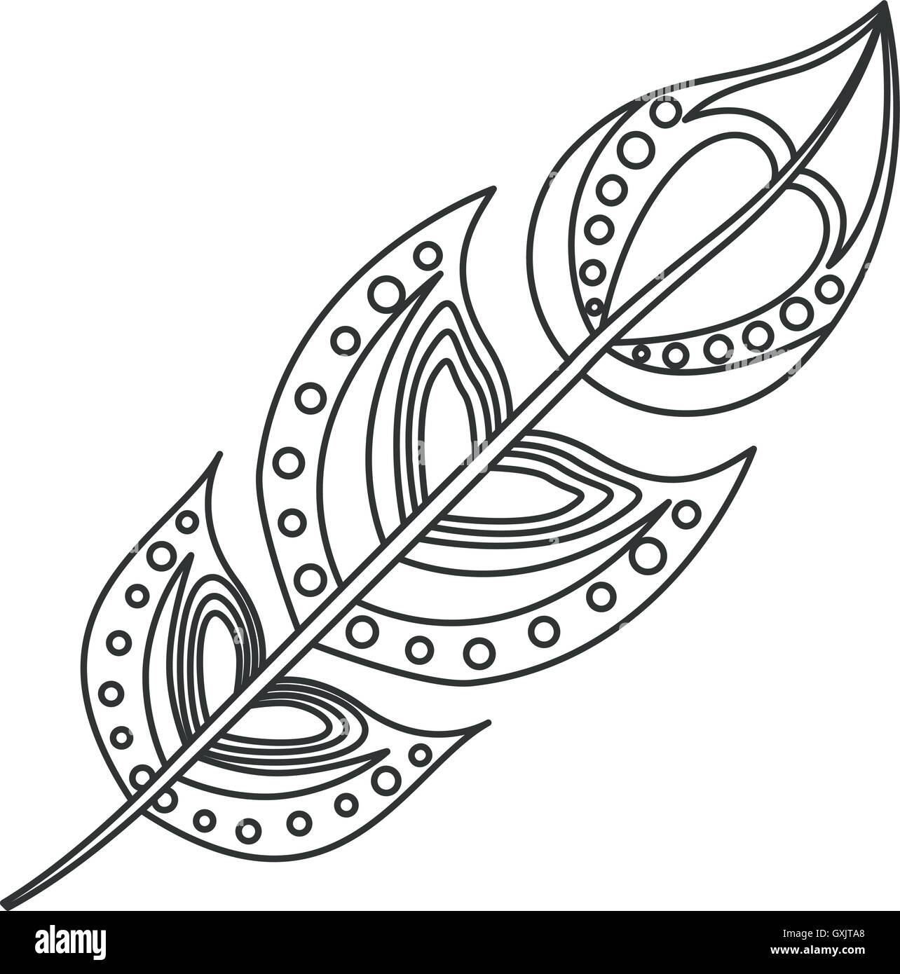 Isolated feather plume design Stock Vector Image & Art - Alamy