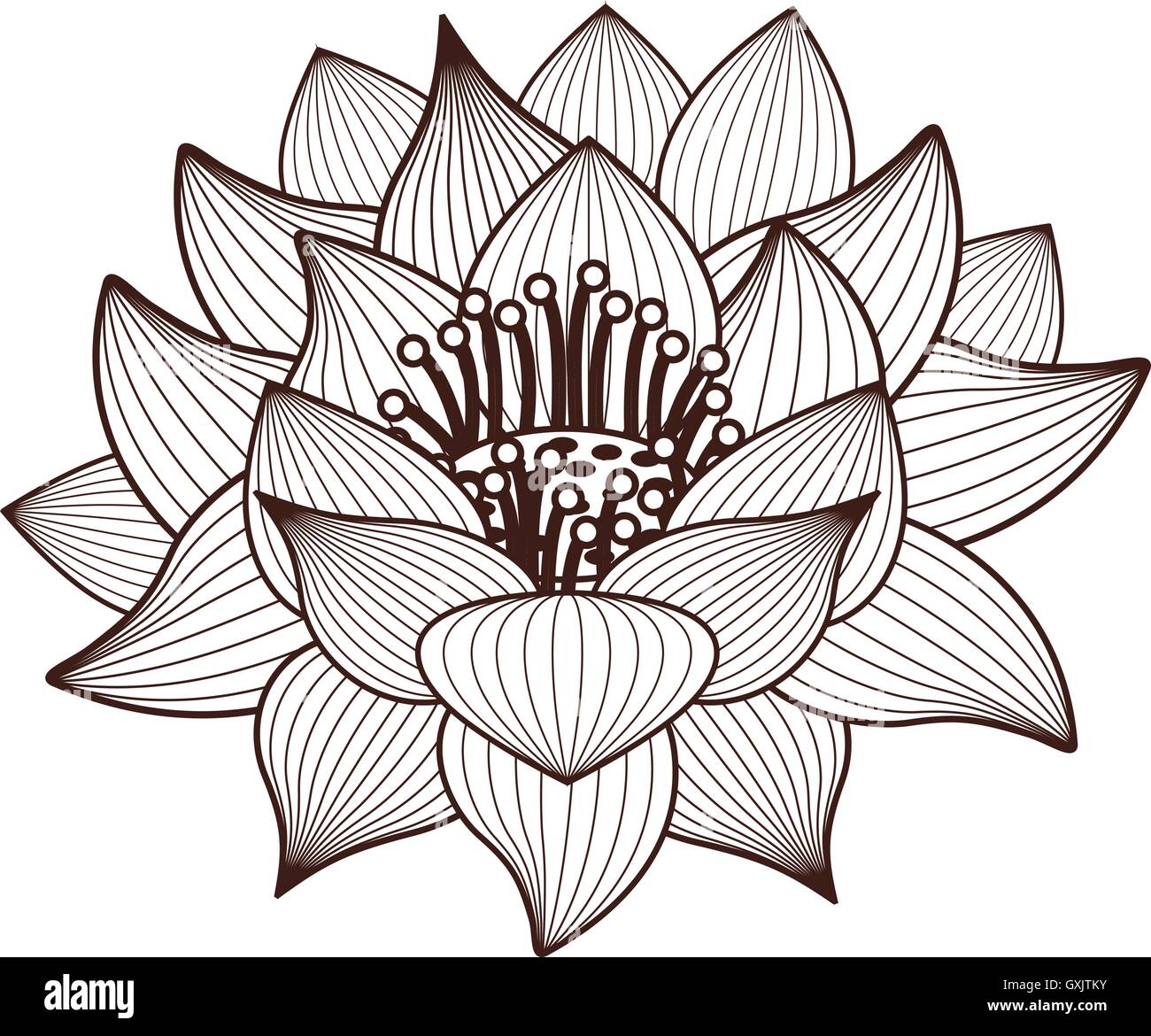 Isolated lotus flower design Stock Vector Image & Art - Alamy