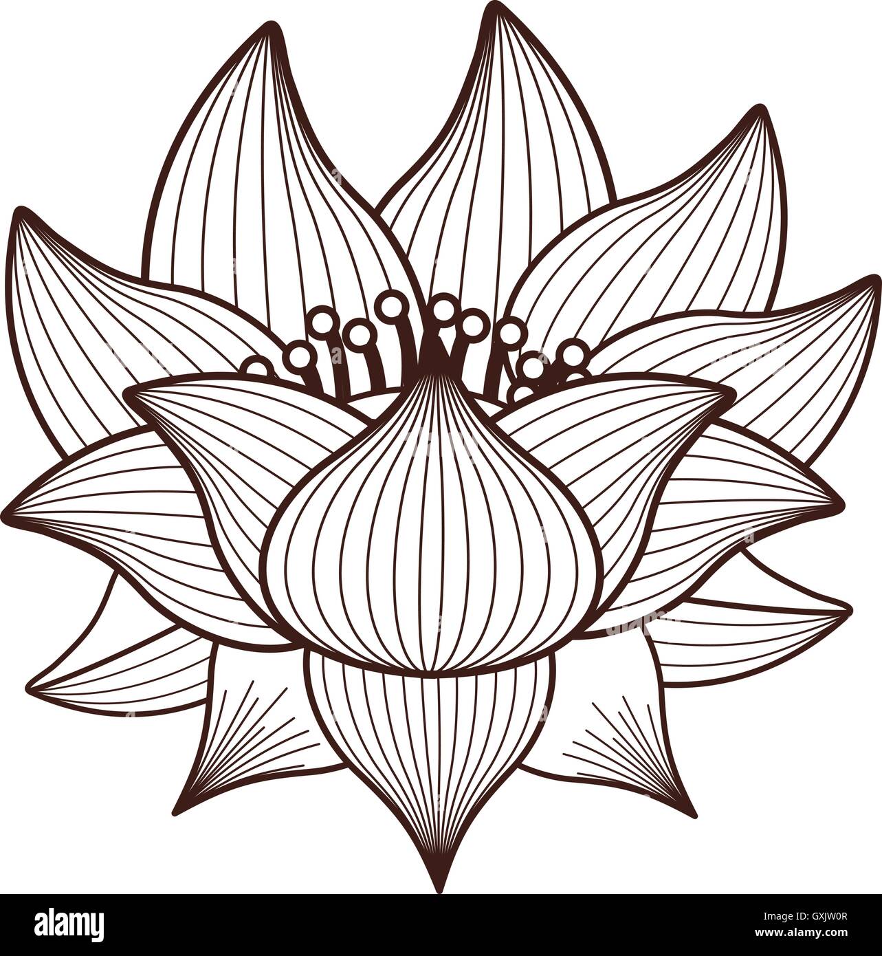 Isolated lotus flower design Stock Vector Image & Art - Alamy