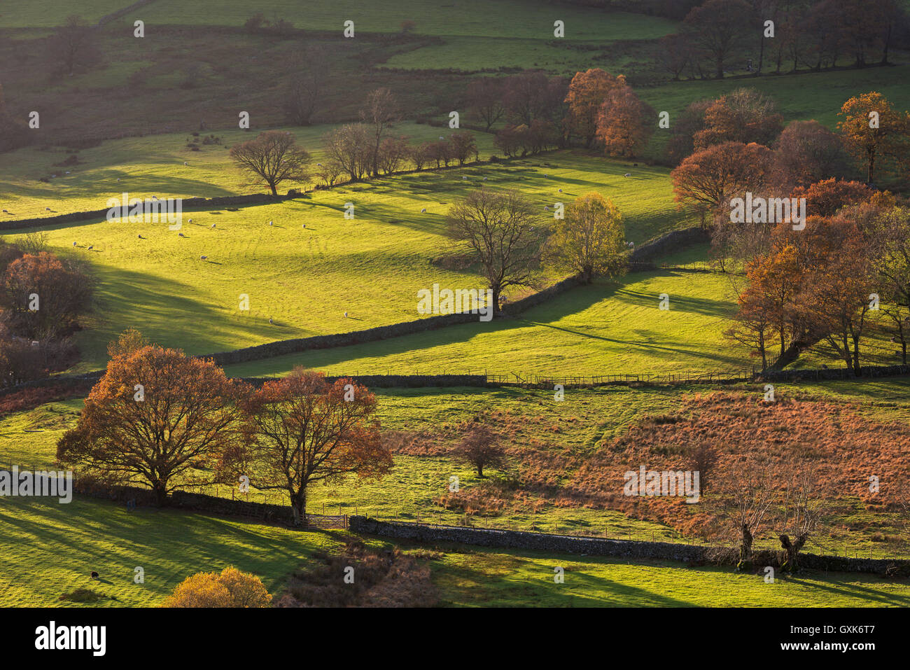 Beautiful rolling Lake District countryside in autumn, Newland’s Valley ...