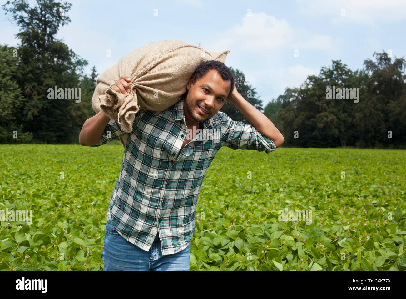 Man carrying yellow sack hi-res stock photography and images - Alamy