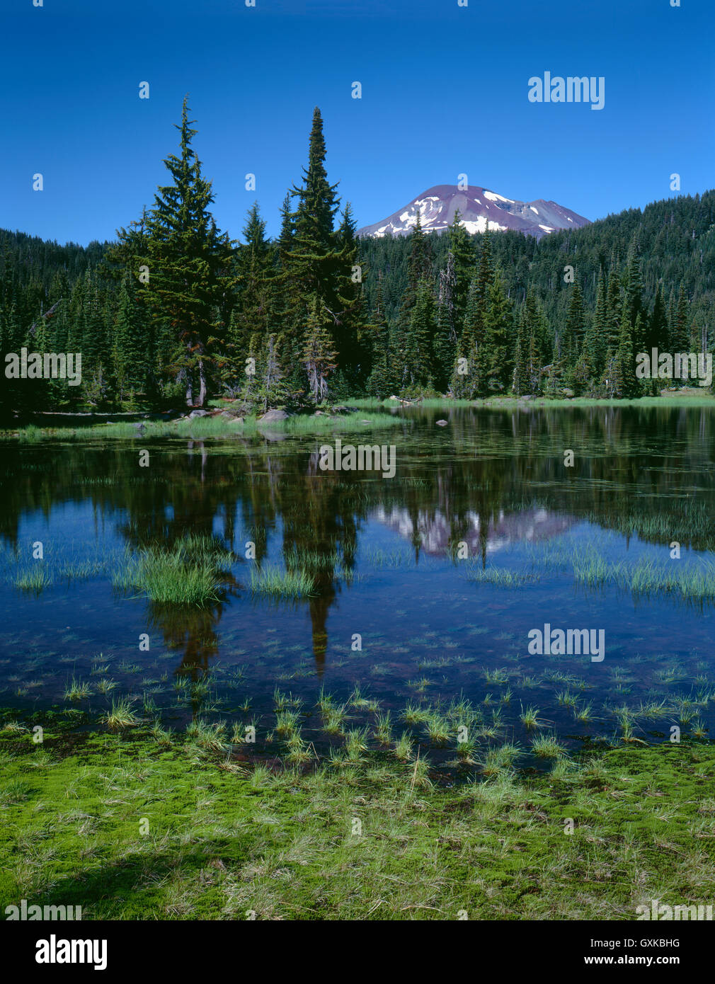 USA, Oregon, Deschutes National Forest, Three Sisters Wilderness, South ...