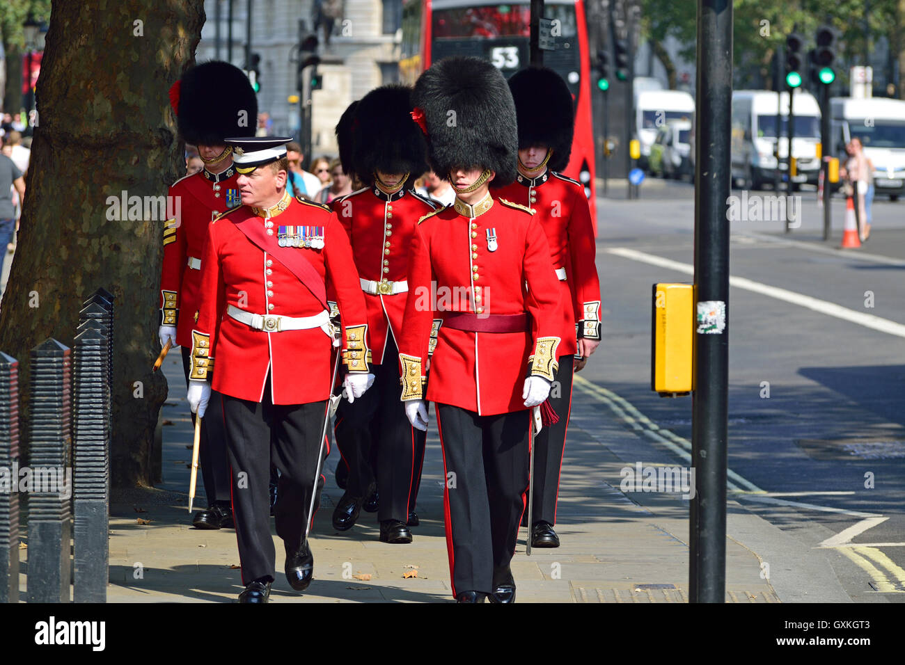 Coldstream guards uniform hi-res stock photography and images - Alamy