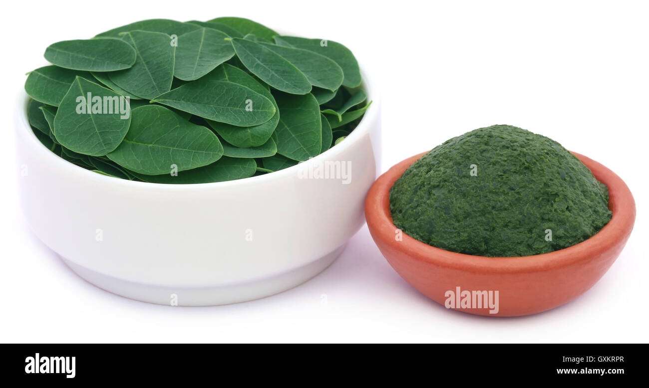 Edible moringa leaves with ground paste over white background Stock ...
