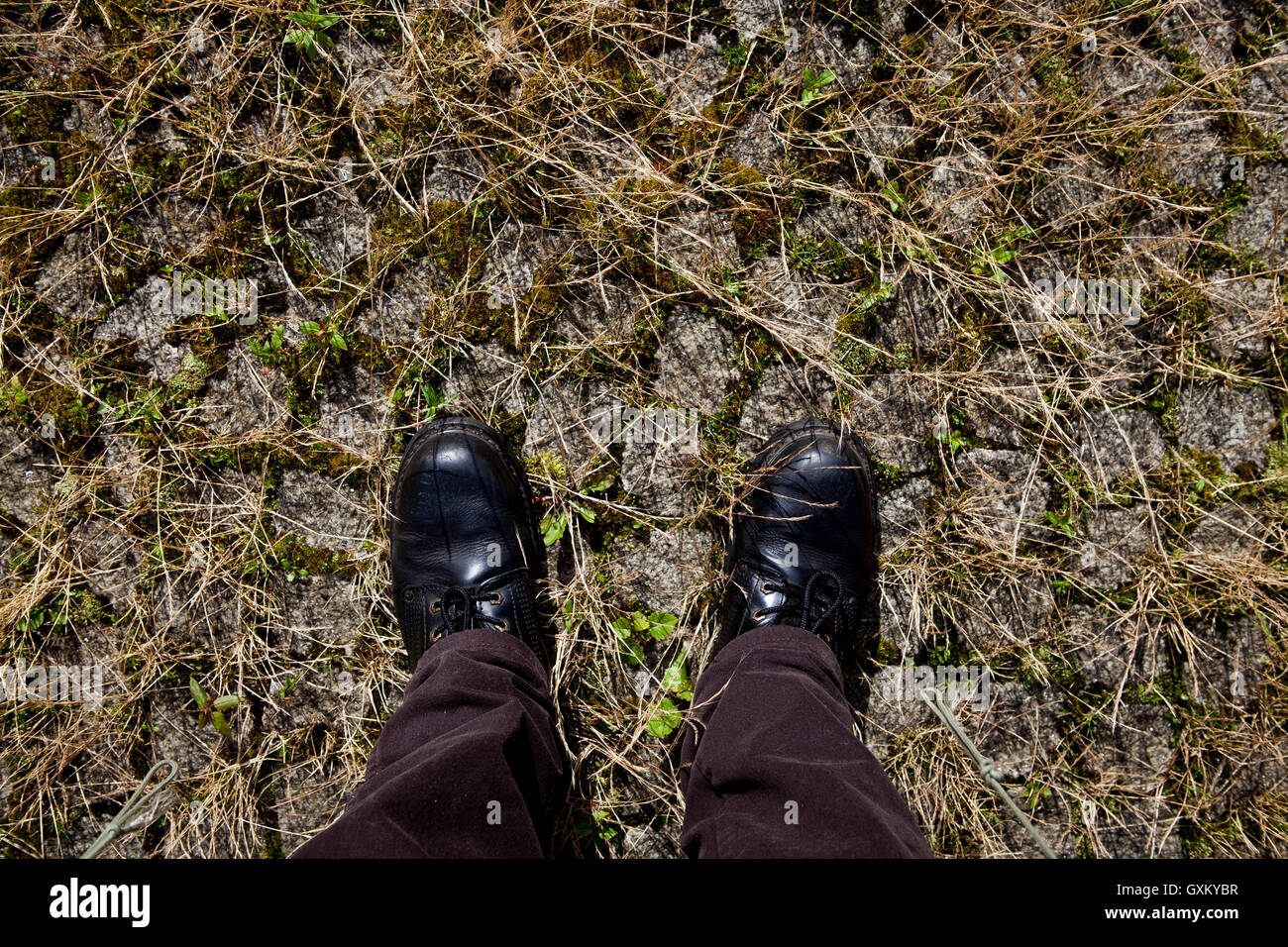 Scrub grass hi-res stock photography and images - Alamy