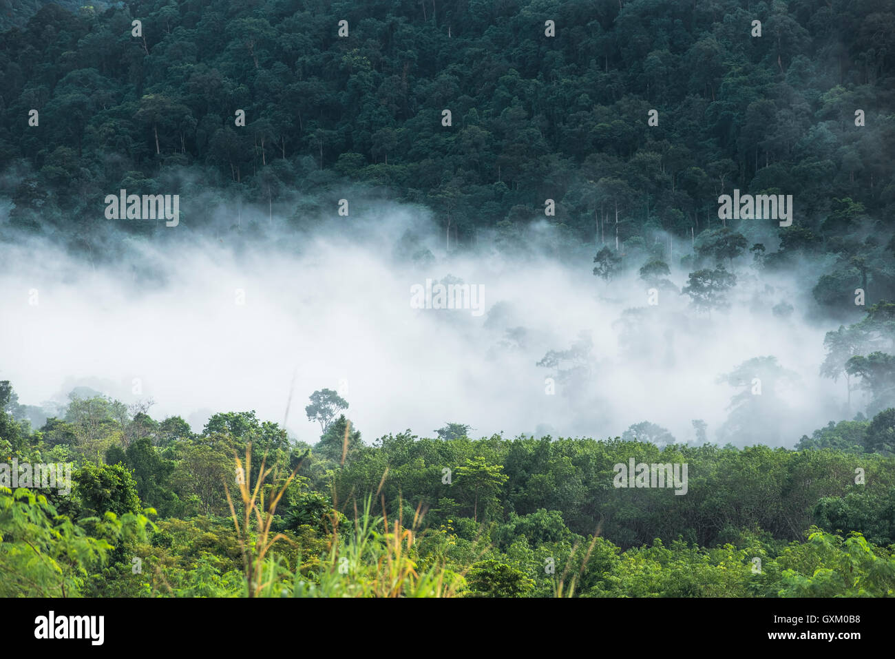 Fog covering mountains hi-res stock photography and images - Alamy