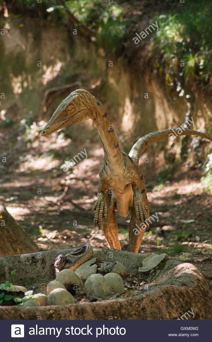 Compsognathus Compsognathus High Resolution Stock Photography and ...