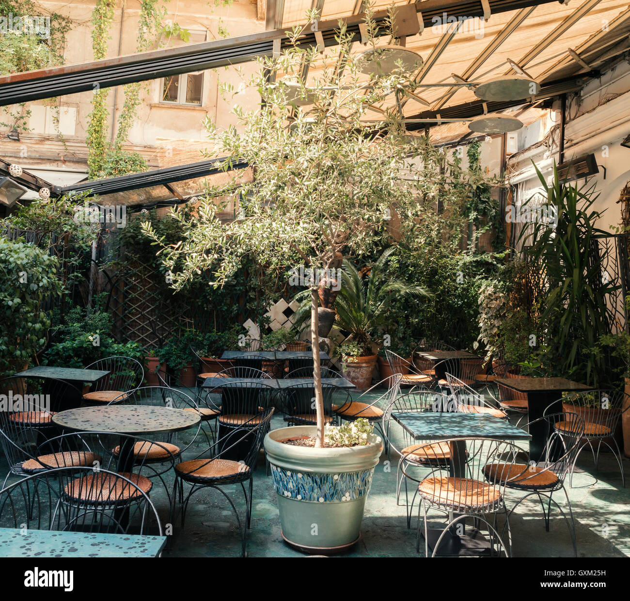A giant tree in a pot in the middle of a dining area with fresh ...