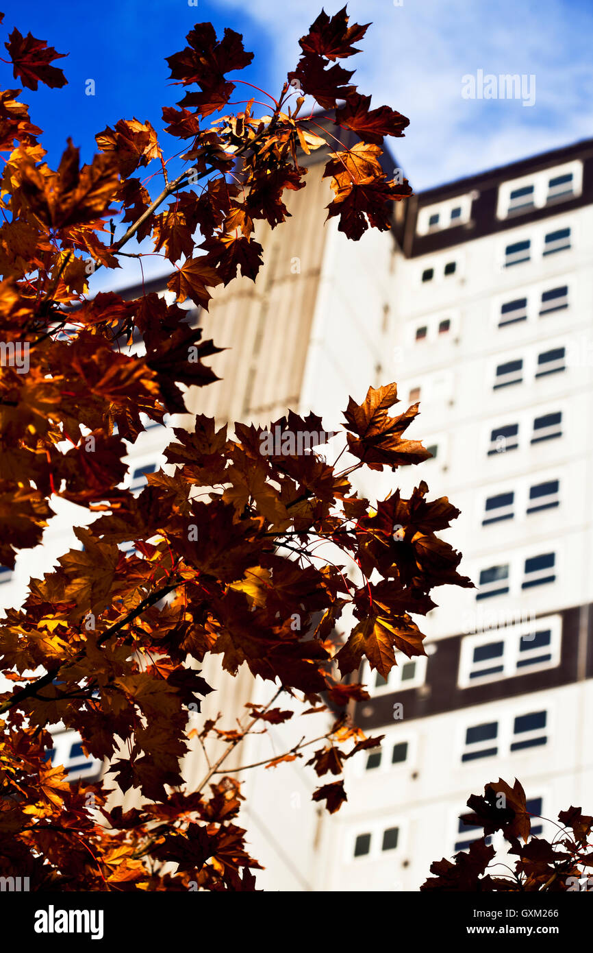 Red road flats glasgow High Resolution Stock Photography and Images - Alamy