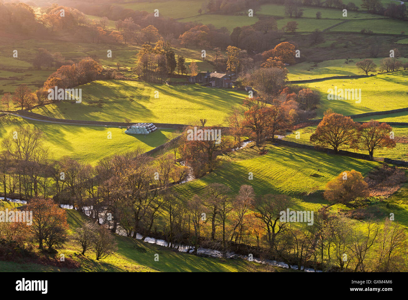 Cumbria countryside autumn hi-res stock photography and images - Alamy