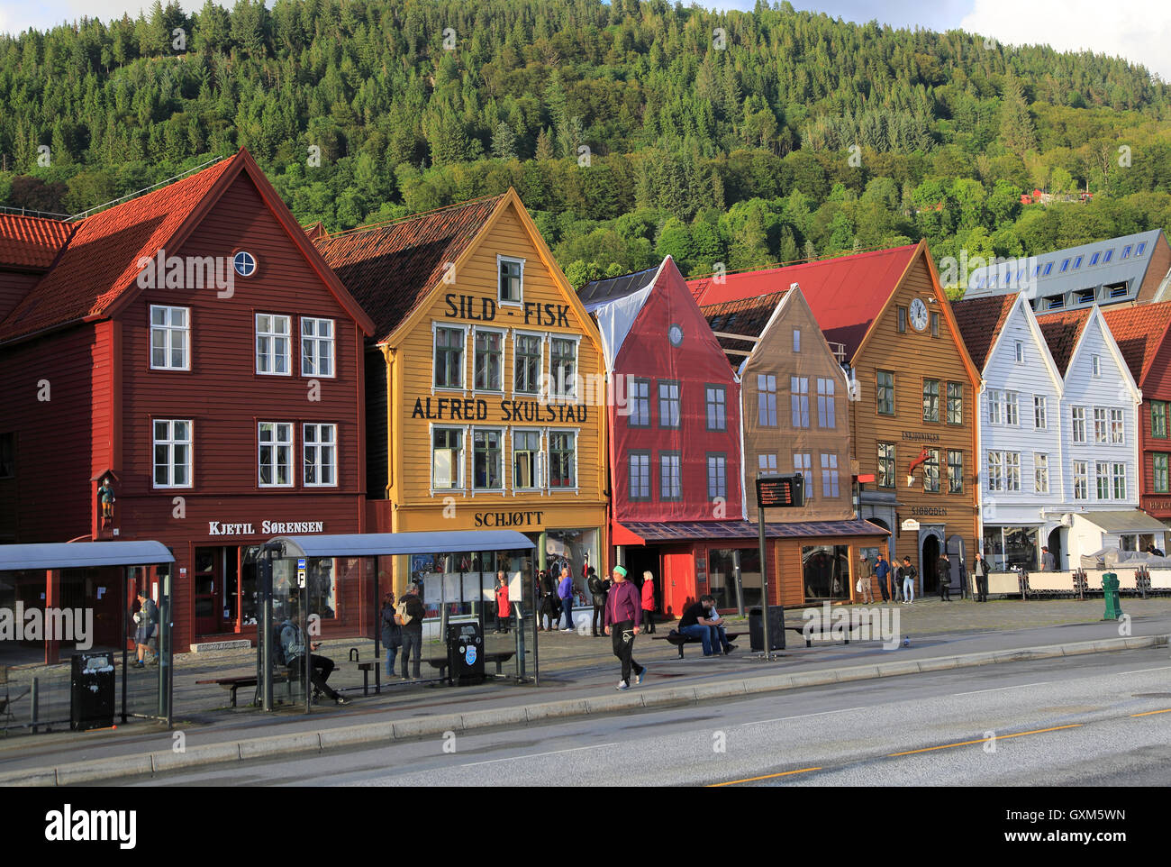 Historic Hanseatic League wooden buildings Bryggen area, Bergen, Norway ...