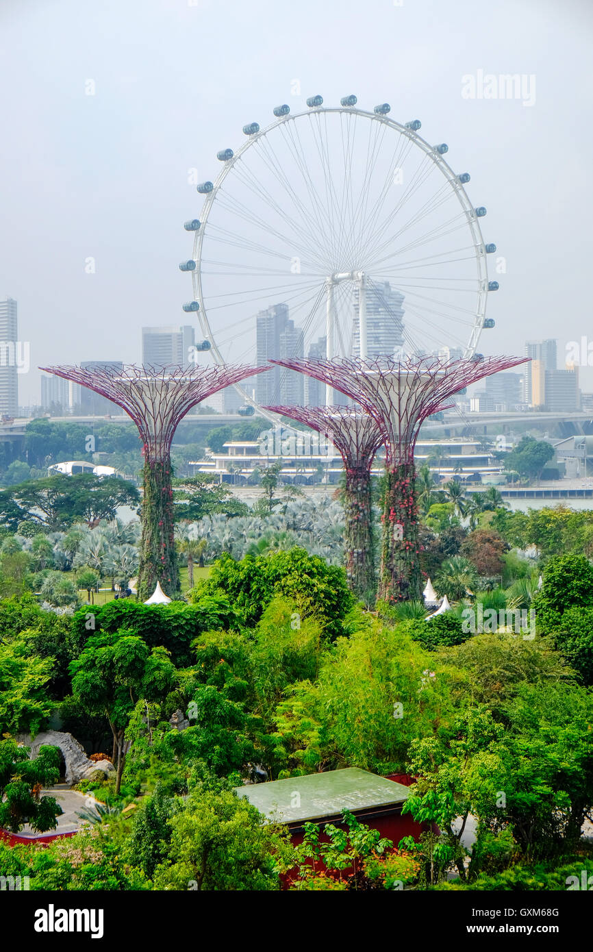 Supergrove trees at Gardens by the bay Singapore Stock Photo - Alamy