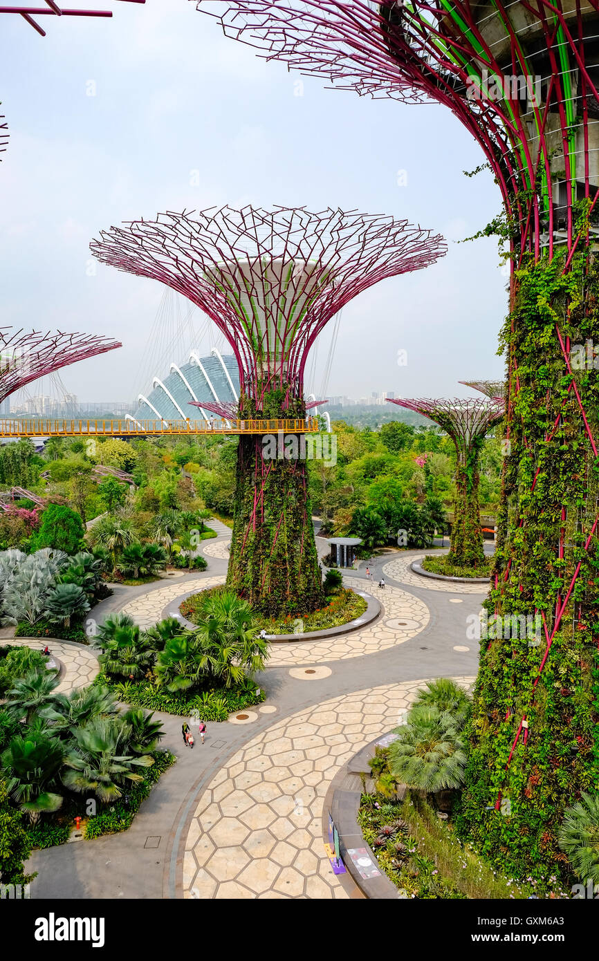 Supergrove trees at Gardens by the Bay Singapore Stock Photo - Alamy