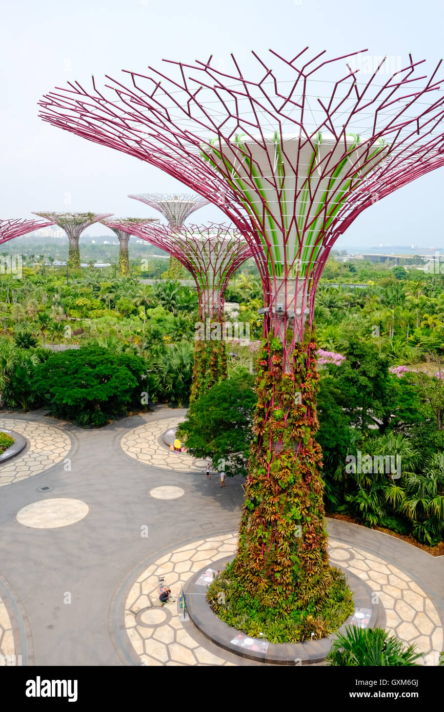 Supergrove trees at Gardens by the bay Singapore Stock Photo - Alamy