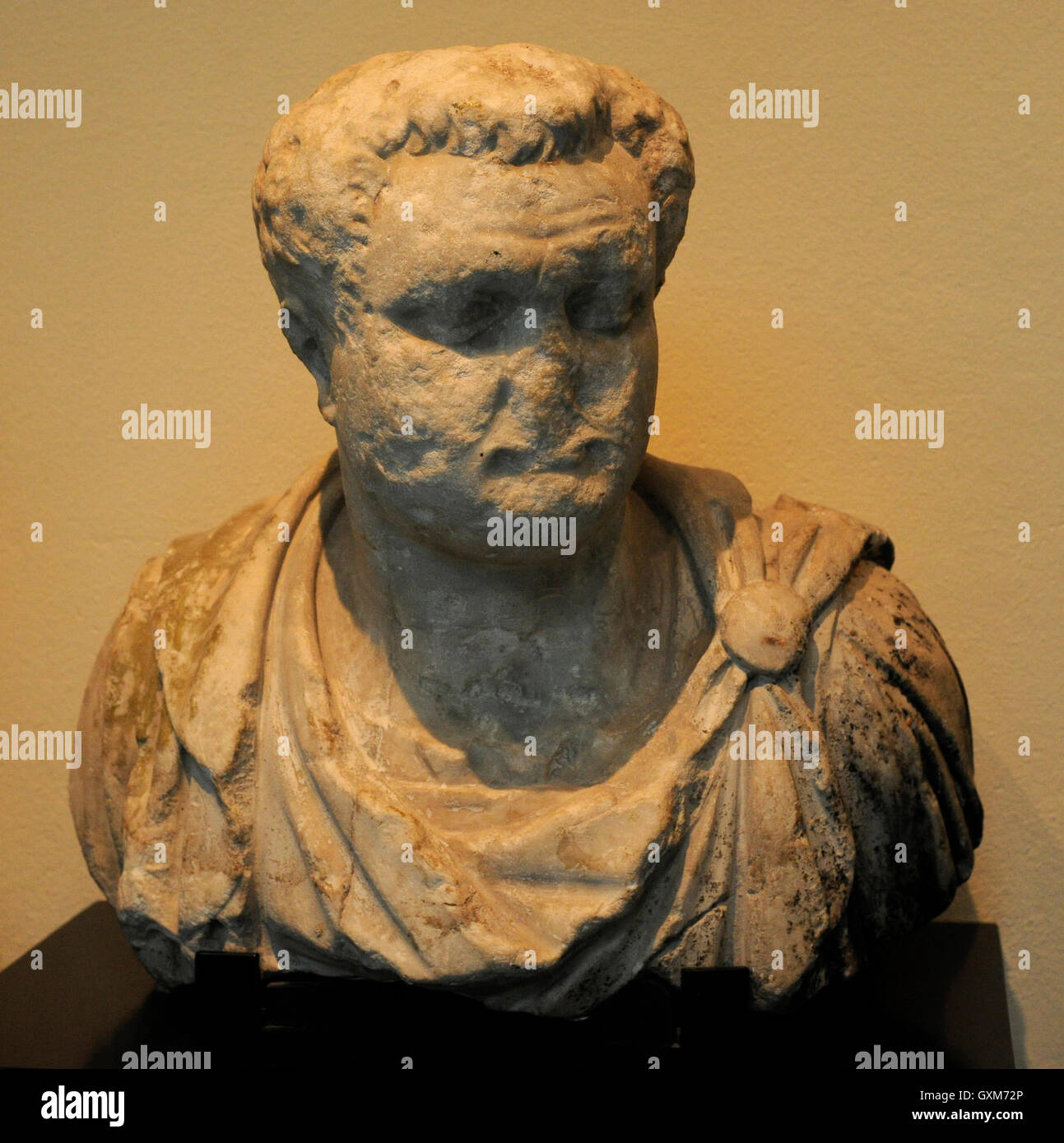 Roman portrait bust of titus hi-res stock photography and images - Alamy