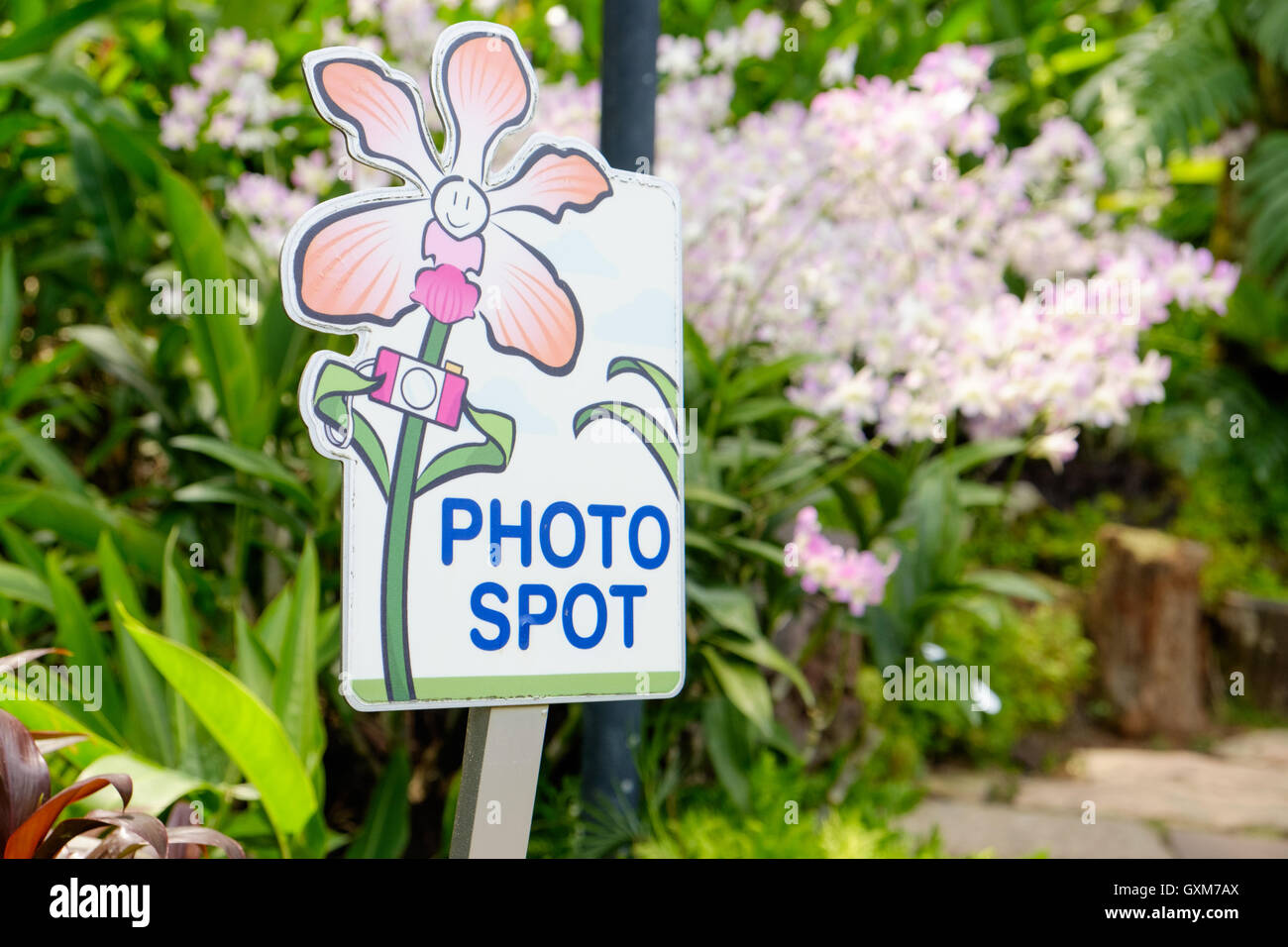 Photo Spot sign in National Orchid Gardens, Singapore Stock Photo - Alamy
