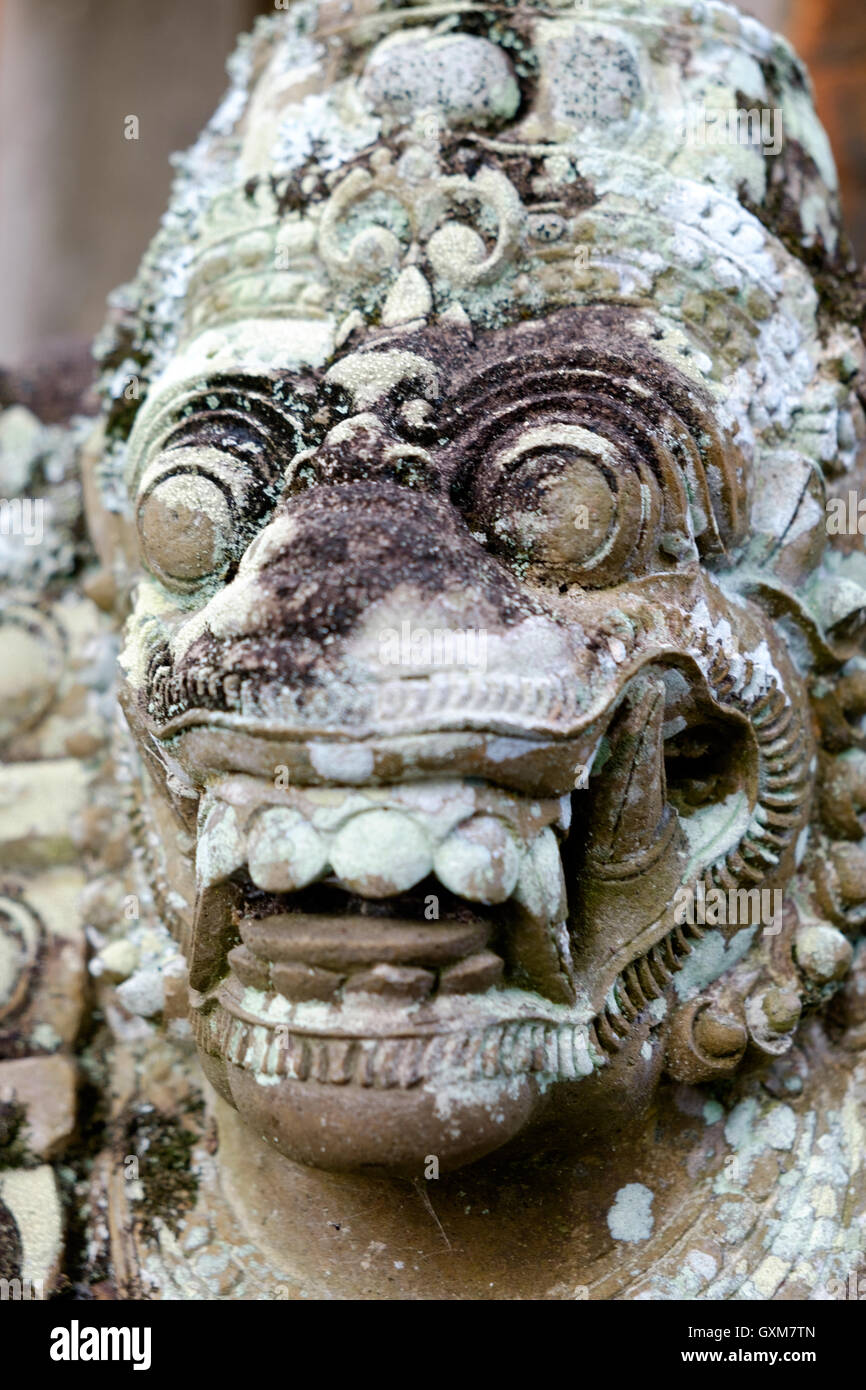 Bares teeth hi-res stock photography and images - Alamy