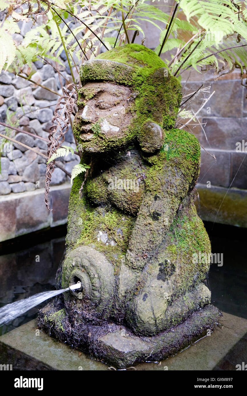 Moss-covered Balinese statue fountain. Water flows from the statue's ...