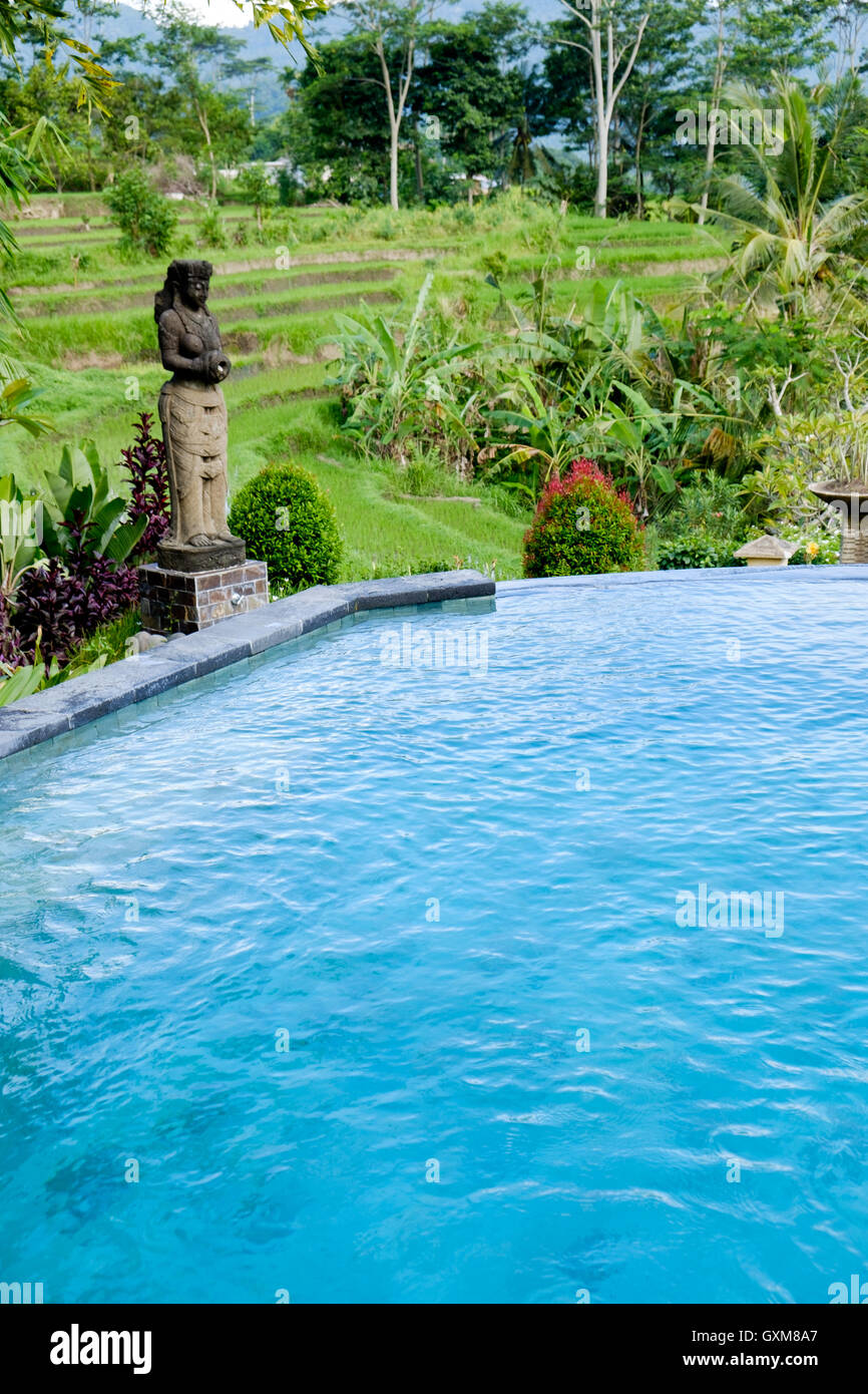 Swimming pool hotel regency hi-res stock photography and images - Alamy