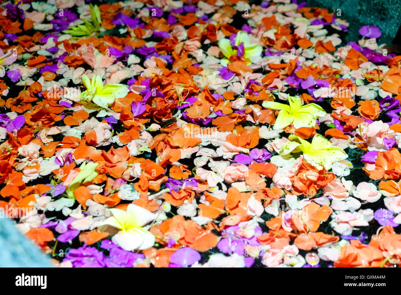 Bath filled with flowers in Bali, Indonesia Stock Photo - Alamy