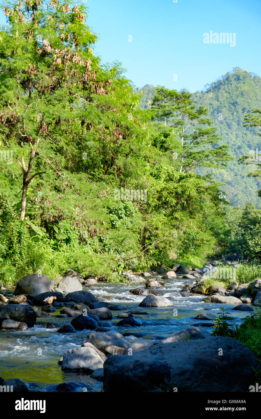 River in Bali Stock Photo - Alamy
