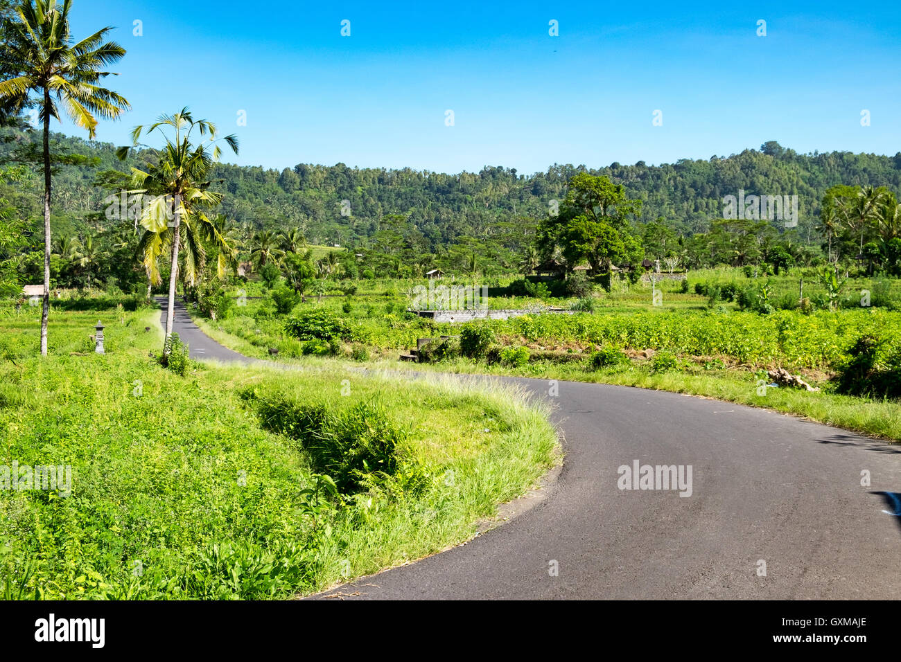 A winding road cuts through Bali's lush landscape, inviting exploration ...