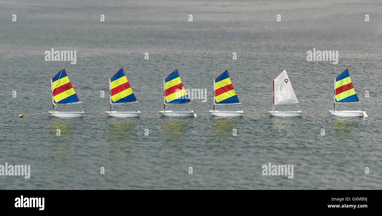 Small sailing dinghies in a line Stock Photo - Alamy
