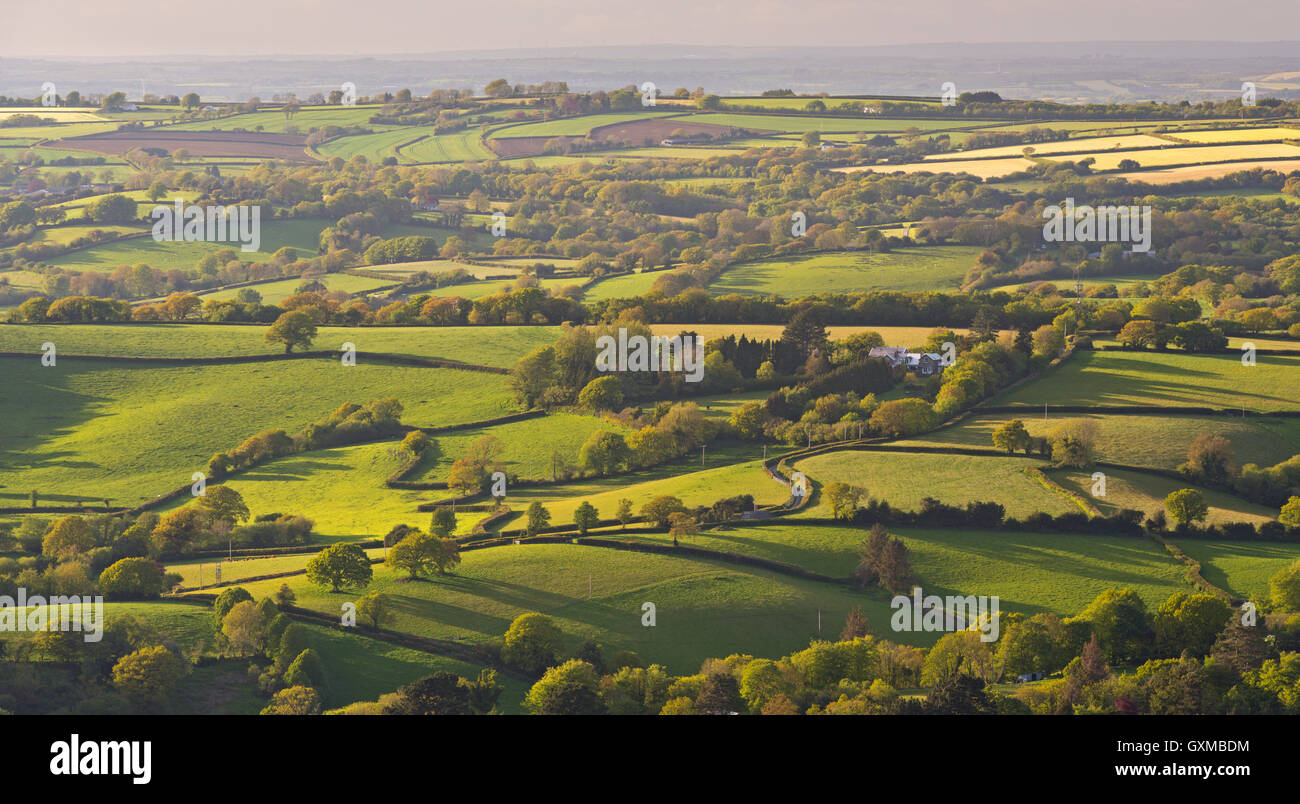 Rolling patchwork countryside, Dartmoor National Park, Devon, England ...
