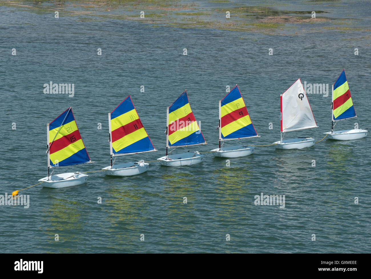 line of dinghies Stock Photo - Alamy
