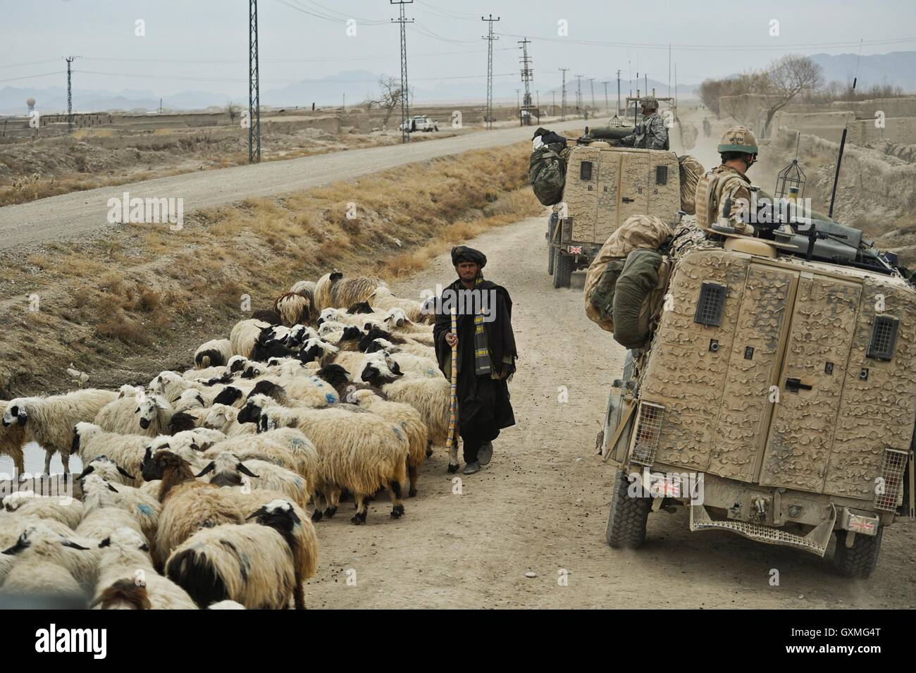 British Royal Air Force Regiment soldiers pass a sheep farmer while ...
