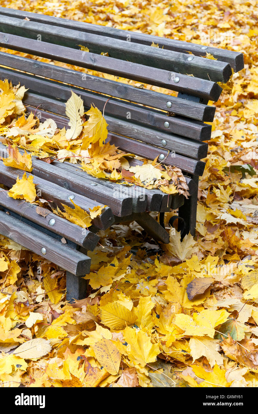 Empty bench in park covered golden autumn leaves Stock Photo - Alamy