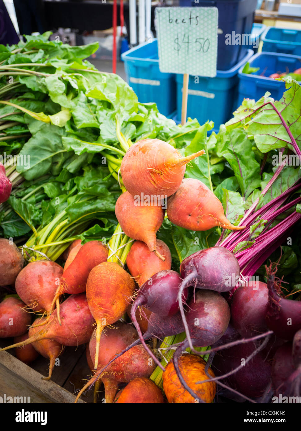 104 street market edmonton hi-res stock photography and images - Alamy
