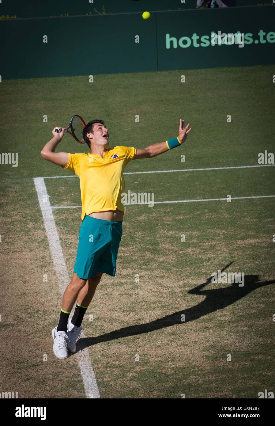 Bernard tomic of australia hi-res stock photography and images - Alamy