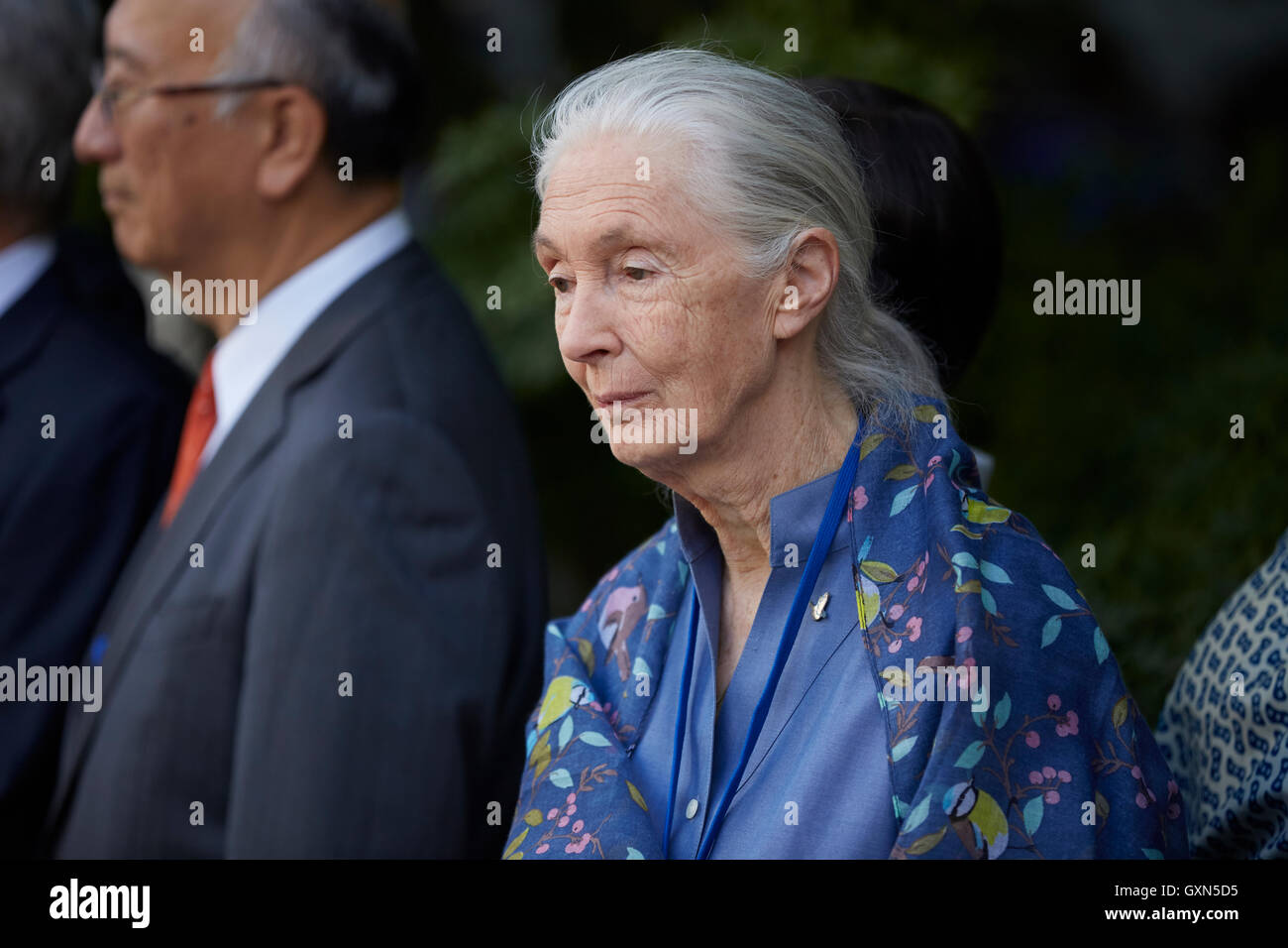 New York, United States. 16th Sep, 2016. US: UN, Peace Bell Ceremony on ...