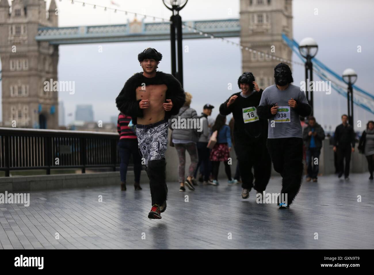 The Great Gorilla Run now in its 14th year, is a charity fun run that ...