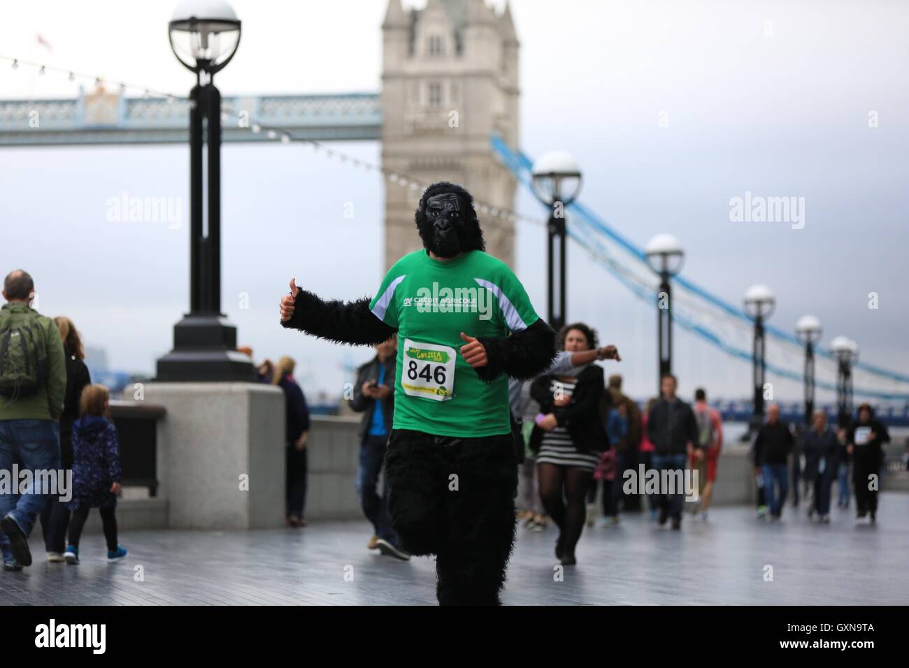 The Great Gorilla Run now in its 14th year, is a charity fun run that ...