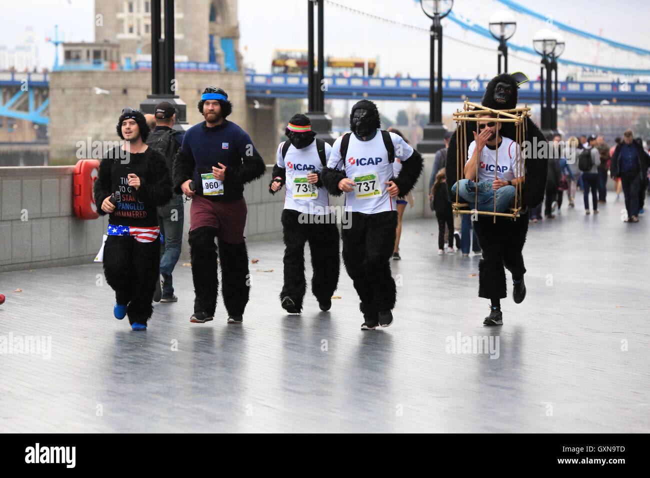 The Great Gorilla Run now in its 14th year, is a charity fun run that ...