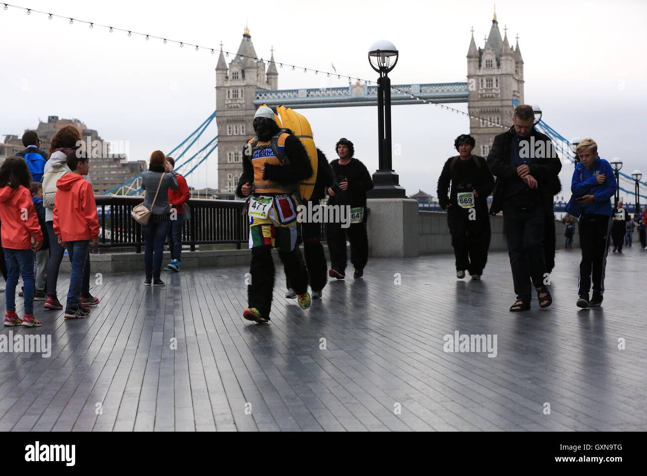The Great Gorilla Run now in its 14th year, is a charity fun run that ...