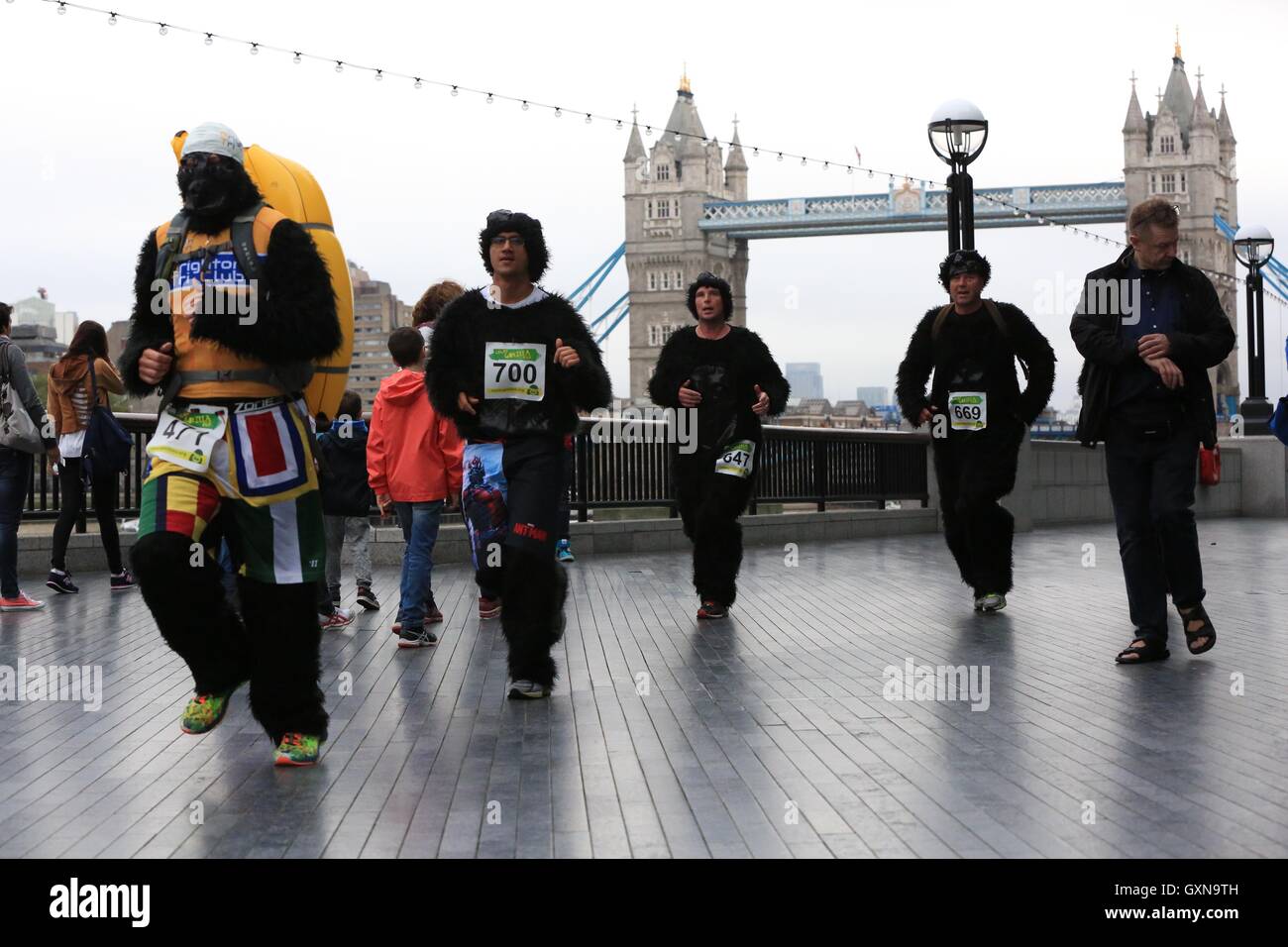 The Great Gorilla Run now in its 14th year, is a charity fun run that ...