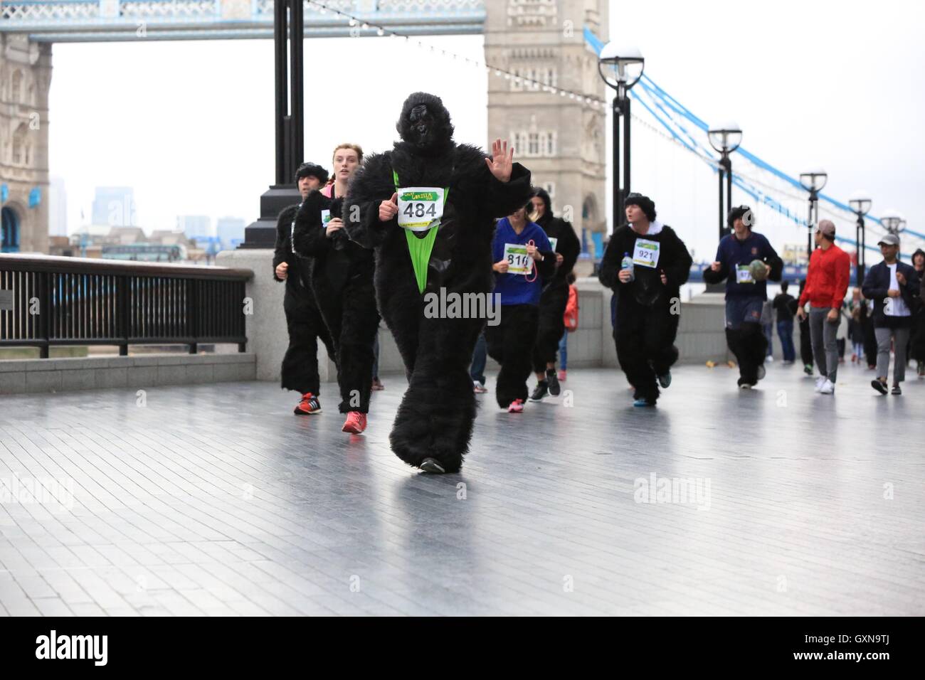 The Great Gorilla Run now in its 14th year, is a charity fun run that ...