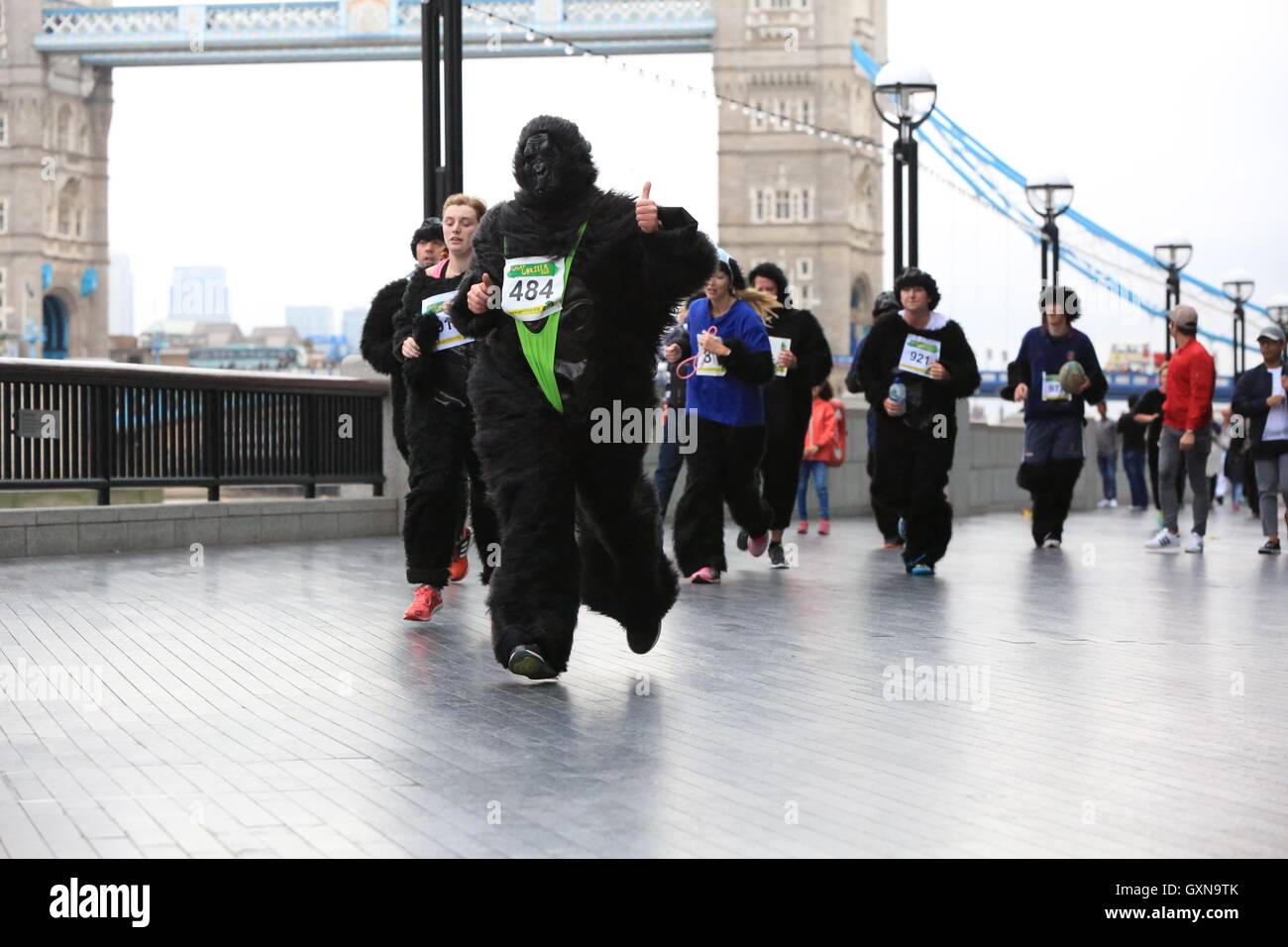 The Great Gorilla Run now in its 14th year, is a charity fun run that ...